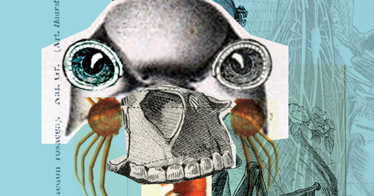 Biology professor among discoverers of 255-million-year-old ‘Scarface ...