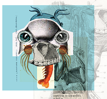 Biology professor among discoverers of 255-million-year-old ‘Scarface ...