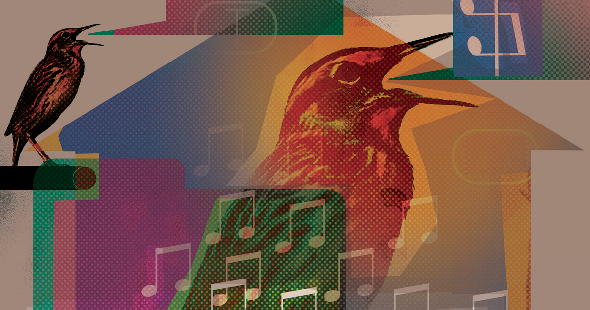 Bird brains could offer clues to neuron replacement | UW Magazine ...