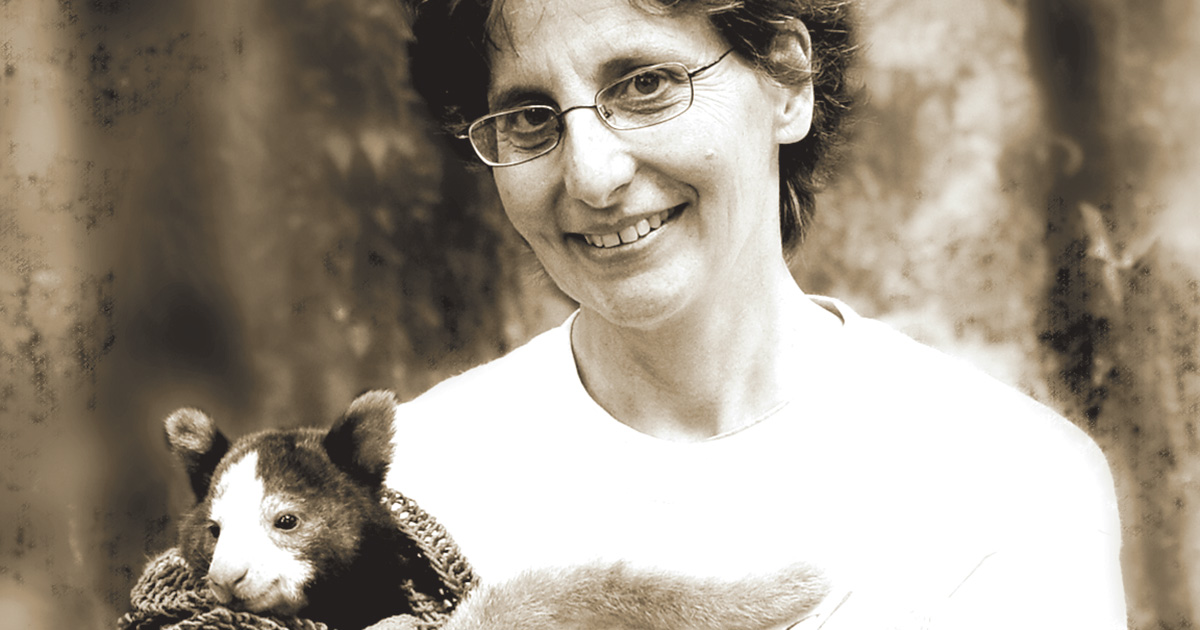 Alumna makes strides in fight to save tree kangaroos | UW Magazine ...