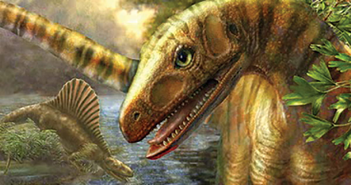 Fossil find adds 10 million years to dinosaurs’ age | UW Magazine ...