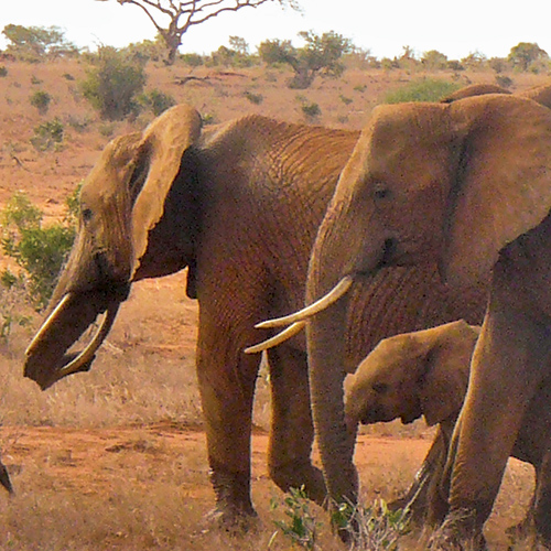 UW Tacoma | UW Magazine — University of Washington Magazine