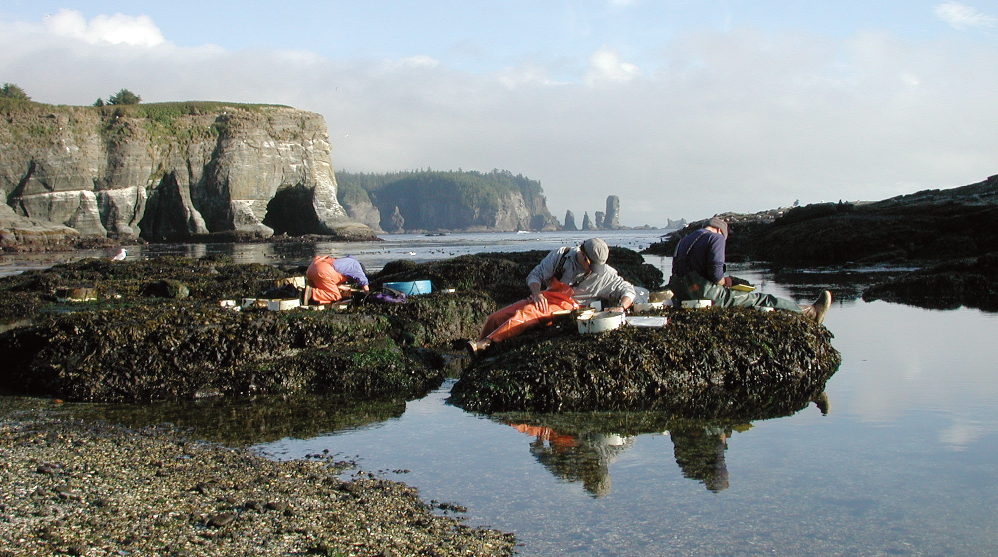 Tiny island off Washington coast is a land of discovery | UW Magazine ...