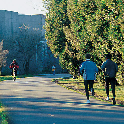 Burke-Gilman Trail | UW Magazine — University of Washington Magazine