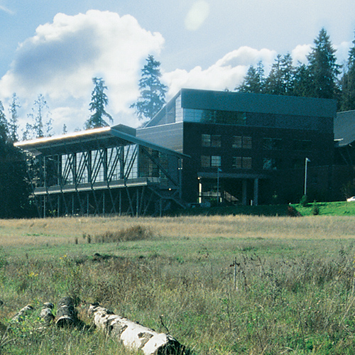 wetlands | UW Magazine — University of Washington Magazine