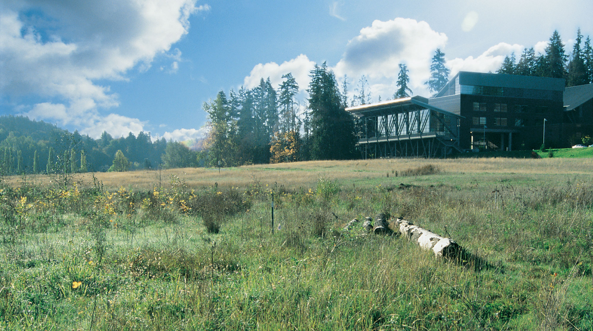 UW Bothell brings wetlands back to life | UW Magazine — University of ...