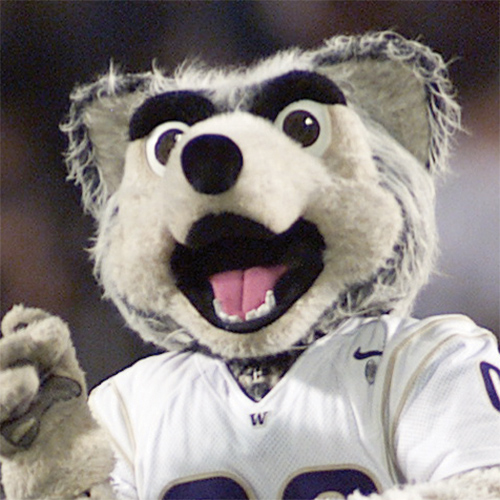 mascot | UW Magazine — University of Washington Magazine