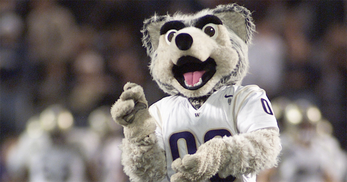 Like any hero, Harry the Husky has an origin story | UW Magazine ...