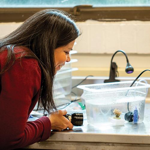 oceanography | UW Magazine — University of Washington Magazine