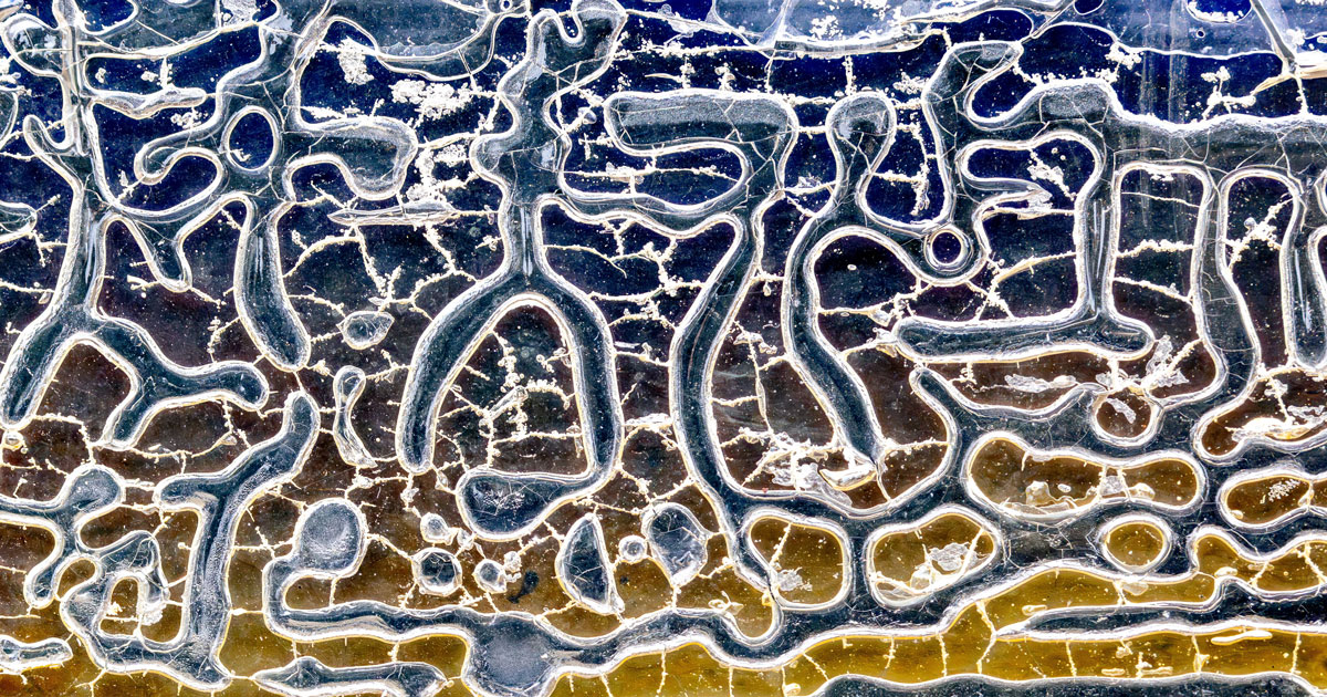 Art Wolfe tells the story of his ten favorite photos from around the ...