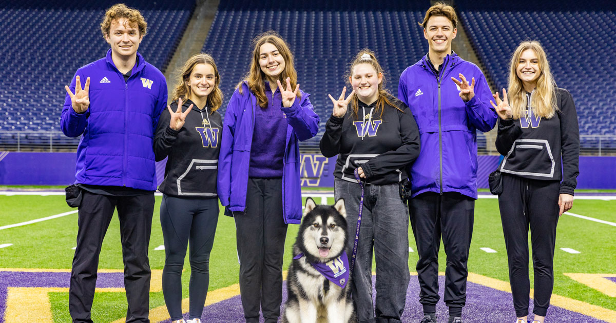 An homage to very good boy Dubs II to celebrate his 7th birthday (and a ...