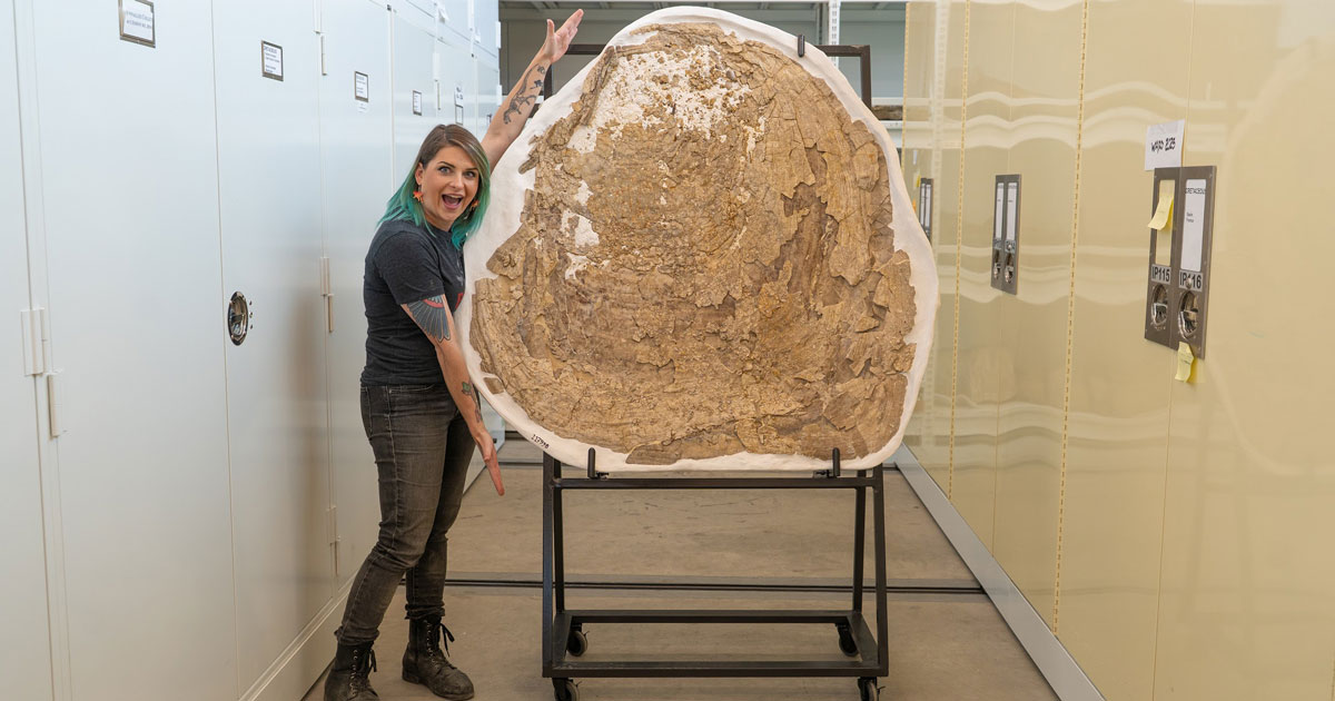 A giant clam named Chowder is making waves at the Burke Museum | UW ...
