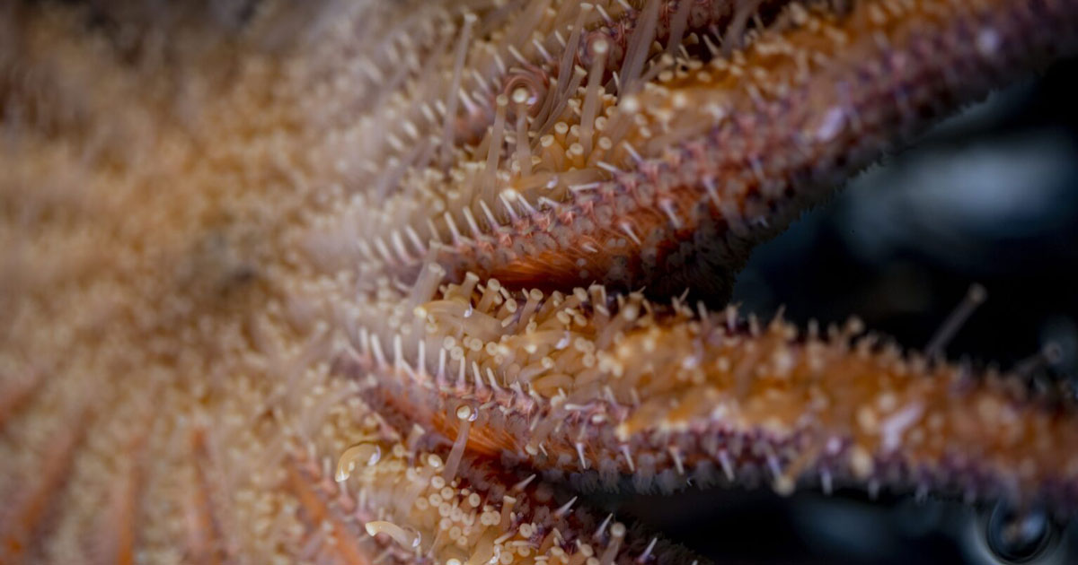 Fall 2025 news and research briefs from the UW | UW Magazine ...