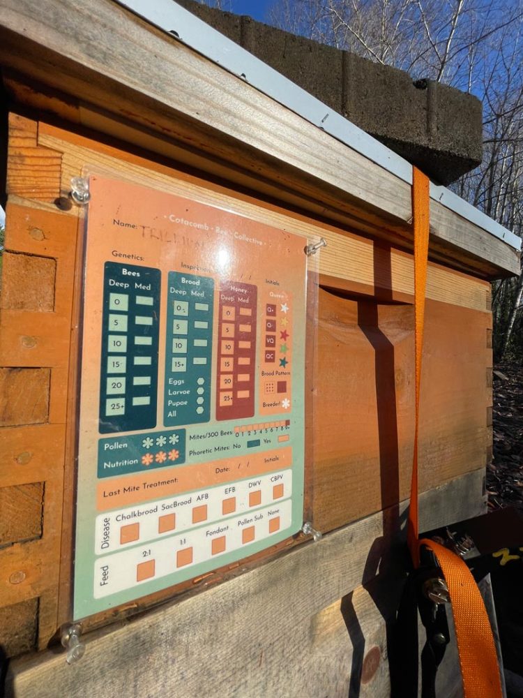 Catacomb Bee Collective is all the buzz at North Seattle’s Evergreen ...